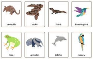 Flash Card Template for Word, Power Point, Google Docs, Slides ( FREE )