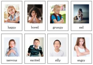 Flash Card Template for Word, Power Point, Google Docs, Slides ( FREE )