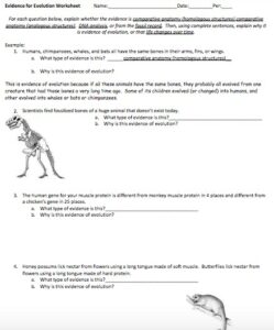 Evidence of Evolution Worksheet - Edutechspot