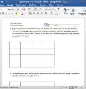 Dihybrid Cross Worksheet Answer Key Questions PDF | Doc