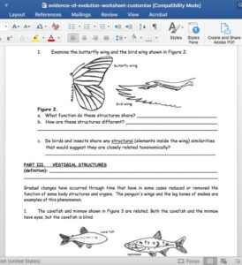 Evidence of Evolution Worksheet - Edutechspot