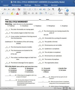 The Cell Cycle Coloring Worksheet - Edutechspot