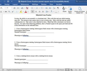 Dihybrid Cross Worksheet Answer Key Questions PDF | Doc