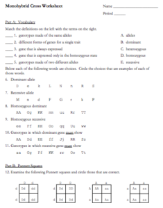 Monohybrid Cross Worksheet - Edutechspot
