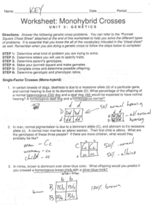 Monohybrid Cross Worksheet - Edutechspot