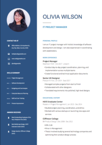 IT Professional Resume Template - Edutechspot